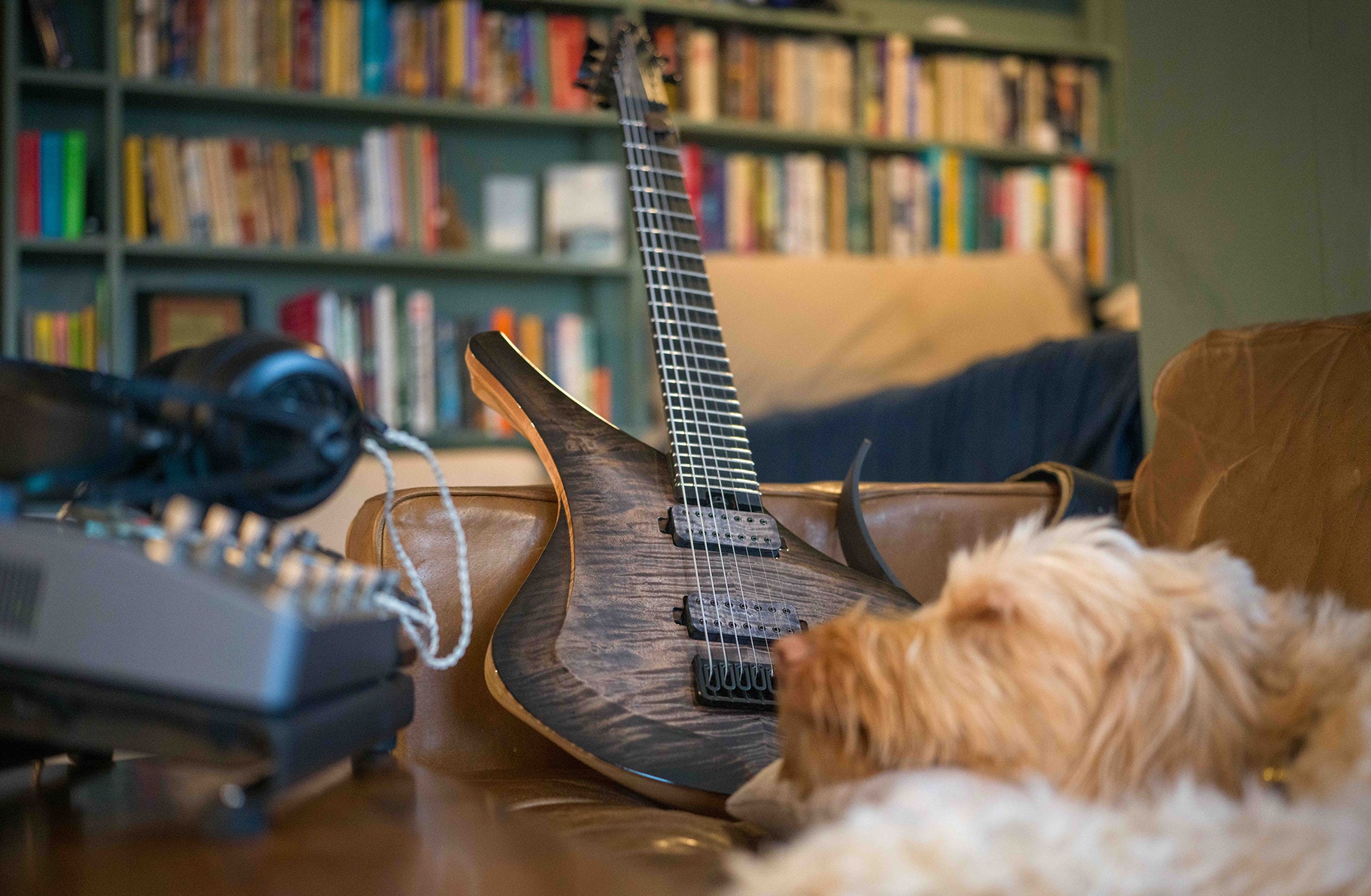 Order Form – Dean Gordon Guitars